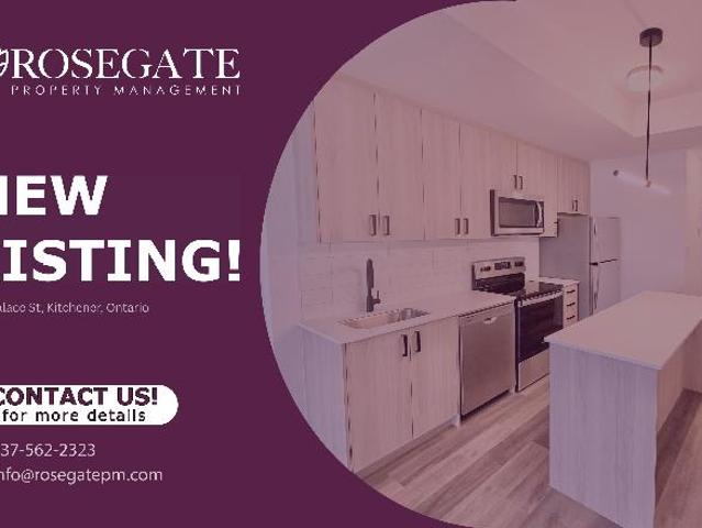 2 Br, 2 bath, Apartment 40 Palace Street