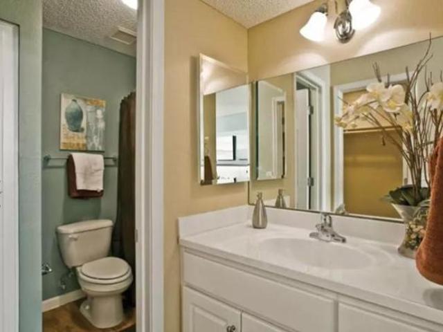 2 Br, 2 bath, Apartment 4202 E Cactus Rd