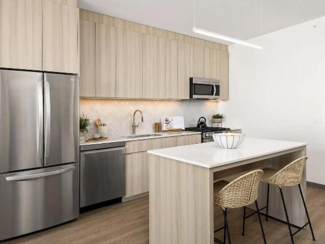 2 Br, 2 bath, Apartment 513 S Damen Ave