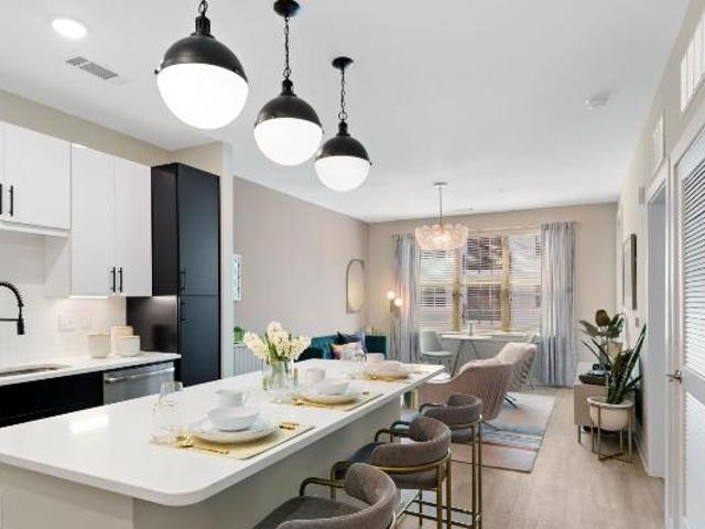 2 Br, 2 bath, Apartment 600 Willard St
