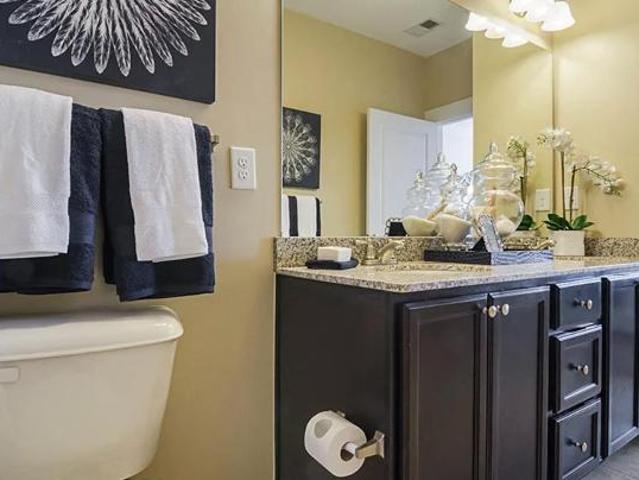 2 Br, 2 bath, Apartment 700 Spring Falls Dr