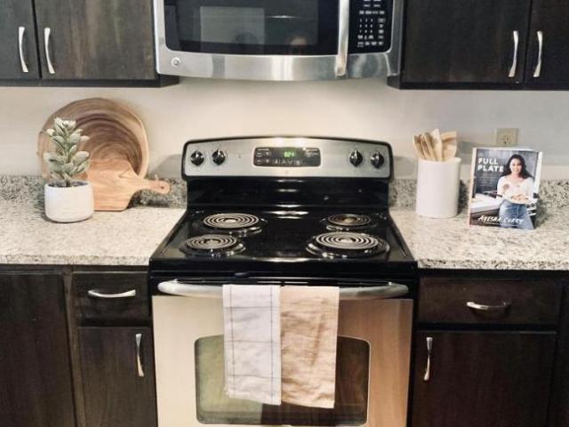 2 Br, 2 bath, Apartment 927 W Morgan St