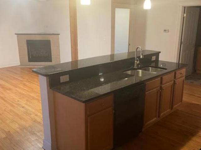 2 Br, 2 bath, Condo 500 N Damen Ave