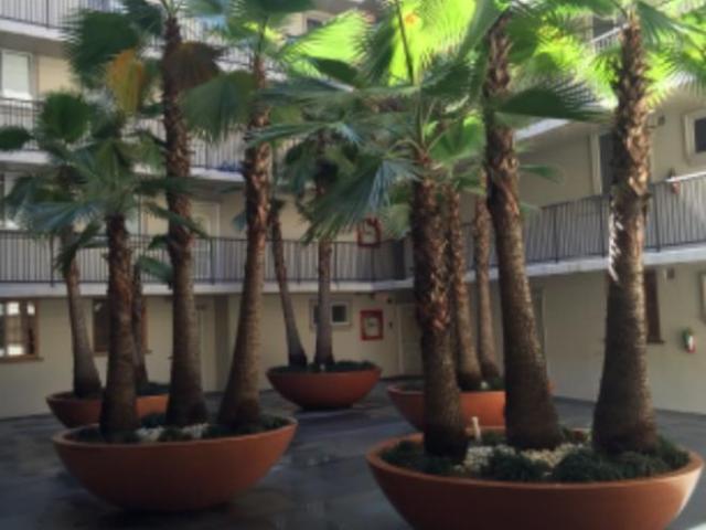 2 Br, 2 bath, Condo 7100 Hillside Ave
