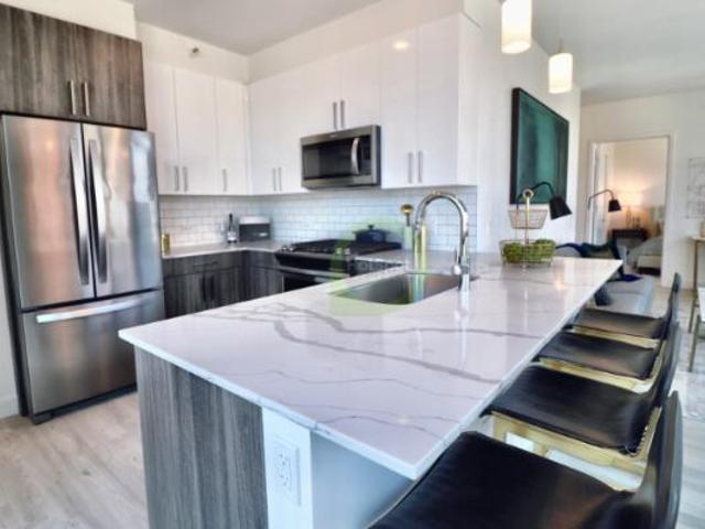 2 Br, 2 bath, Condo 820 S Michigan Ave