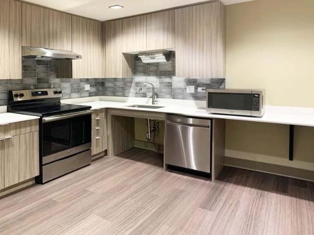 2 Br, 2 bath, Condo 820 South Michigan Ave