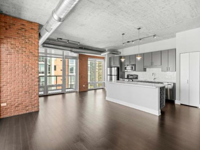 2 Br, 2 bath, Condo 877 S Clark St
