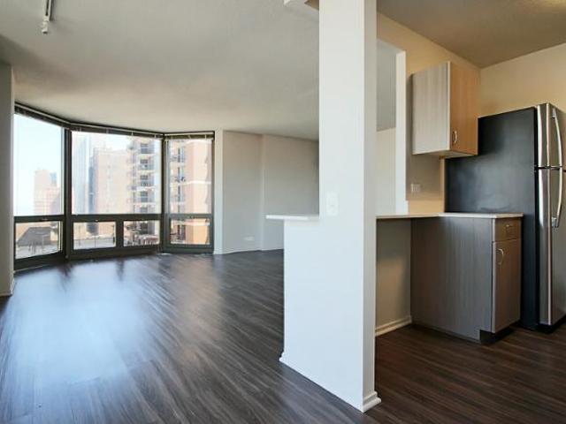 2 Br, 2 bath, Condo 1113 N Dearborn