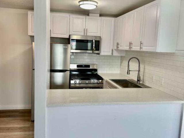 2 Br, 2 bath, Condo 149 N Commonwealth Ave