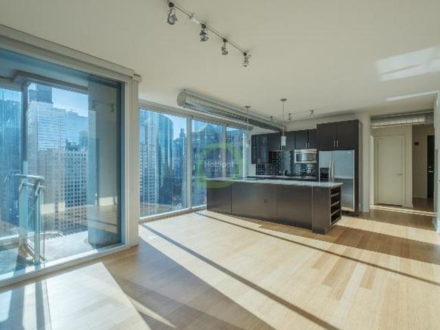 2 Br, 2 bath, Condo 172 W Kinzie