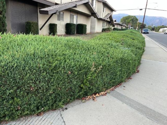 2 Br, 2 bath, Condo 2409 Pattiglen Avenue