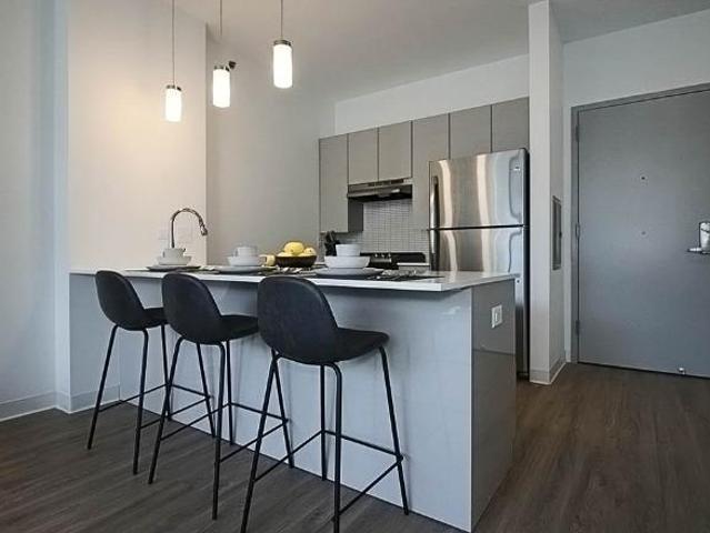 2 Br, 2 bath, Condo 336 South Halsted Street