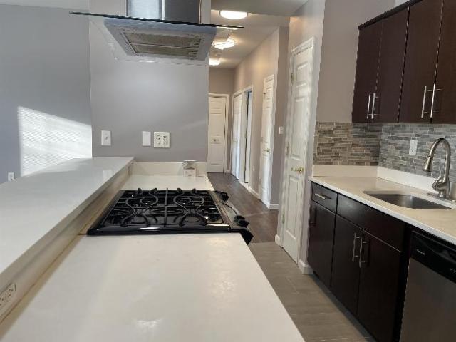 2 Br, 2 bath, Apartment 110 Halsted Street