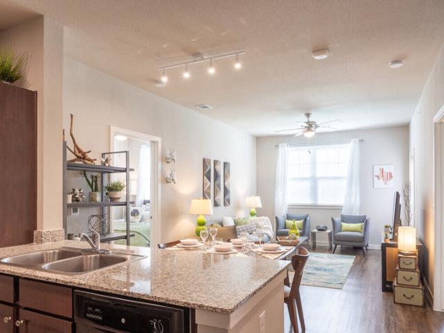 2 BR, 2 BA Apartment 14017 FM 969, Austin, TX 78724