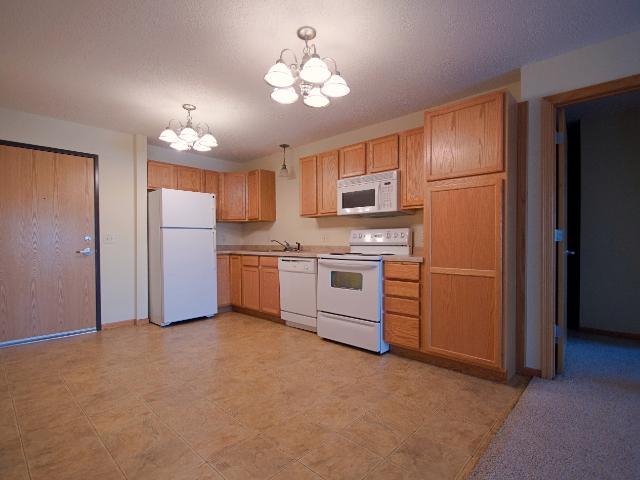 2 BR, 2 BA Apartment 1580 Parkwood Dr Unit 1580 211, Saint Paul, MN 55125