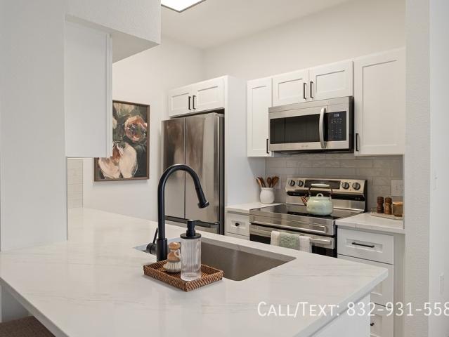 2 BR, 2 BA Apartment 1599 Waugh Dr, Houston, TX 77019