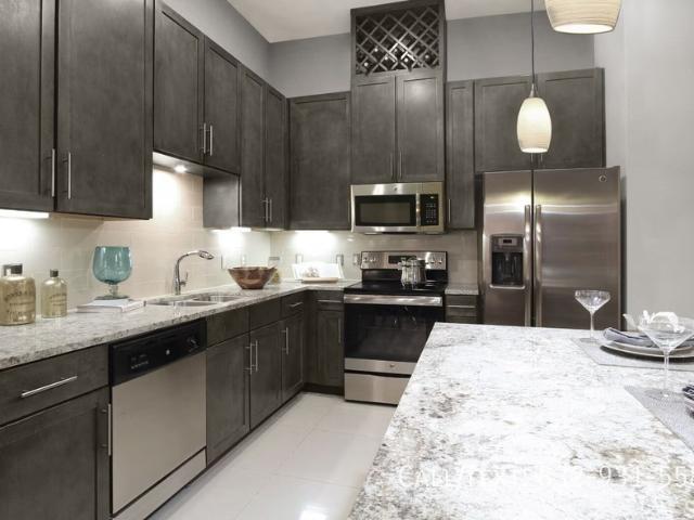 2 BR, 2 BA Apartment 1600 Waugh Dr, Houston, TX 77019