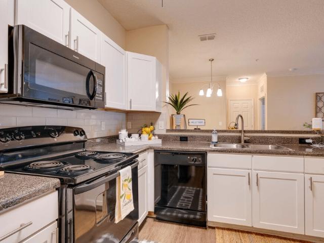 2 BR, 2 BA Apartment 1620 Bartram Road Unit 5102, Jacksonville, FL 32207