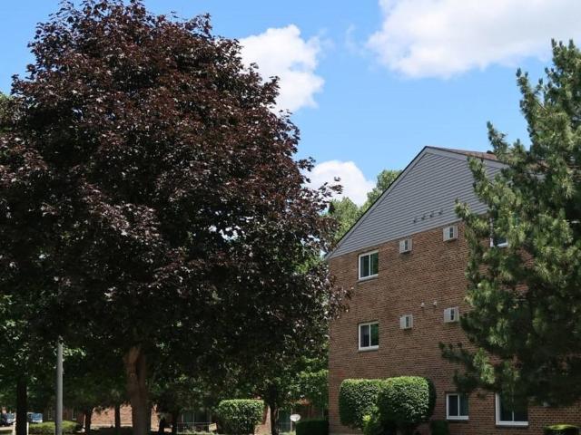 2 BR, 2 BA Apartment 103 South Testa Drive Unit 120303, Naperville, IL 60540