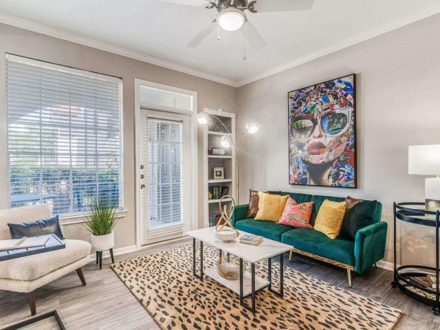 2 BR, 2 BA Apartment 1011 Wonder World Drive Unit 1008, San Marcos, TX 78666