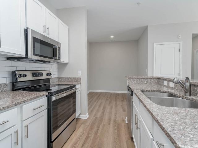 2 BR, 2 BA Apartment 114 E Elliott St Unit 301, Fort Mill, SC 29715