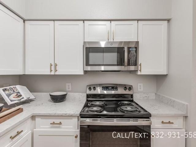 2 BR, 2 BA Apartment 11698 Kirkholm Dr, Houston, TX 77089