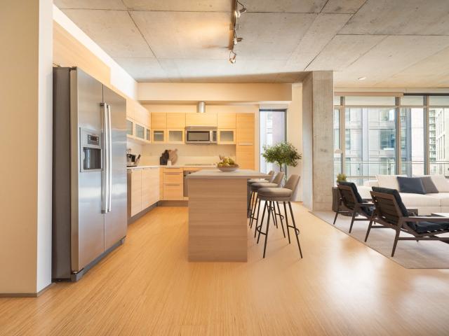 2 BR, 2 BA Apartment 120 Westlake Avenue N Unit 0329, Seattle, WA 98109