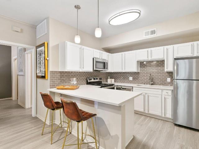 2 BR, 2 BA Apartment 12500 Merit Drive Unit 2202, Dallas, TX 75251