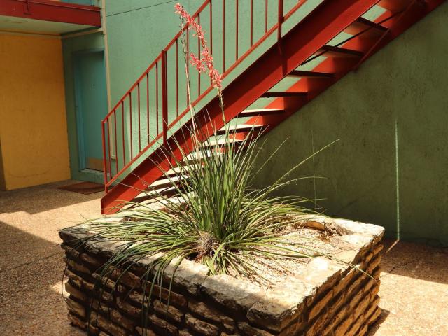 2 BR, 2 BA Apartment 2907 West Avenue Unit WWK 407, Austin, TX 78705