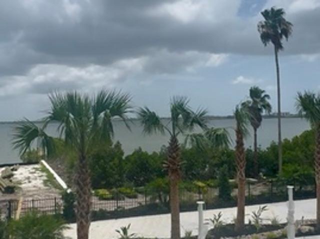 2 BR, 2 BA Apartment 2973 Gulf To Bay Blvd, Unit 2, Clearwater, FL 33759