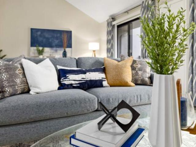 2 BR, 2 BA Apartment 214 Loft Ln, Raleigh, NC 27609