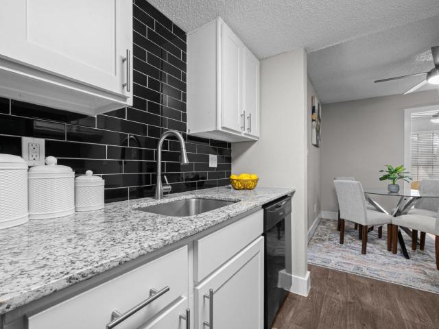 2 BR, 2 BA Apartment 3900 Investor Drive Unit 1321, Dallas, TX 75237