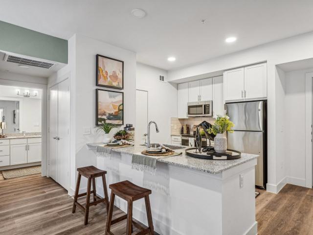 2 BR, 2 BA Apartment 300 North McDonald Street Unit 1188, McKinney, TX 75069