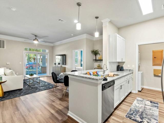 2 BR, 2 BA Apartment 3100 Ashley Town Center Drive Unit 219, Charleston, SC 29414