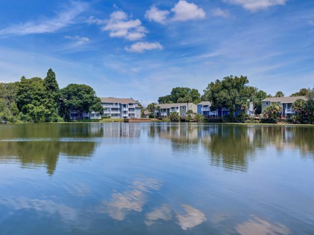 2 BR, 2 BA Apartment 4902 North Macdill Avenue Unit 1409, Tampa, FL 33614