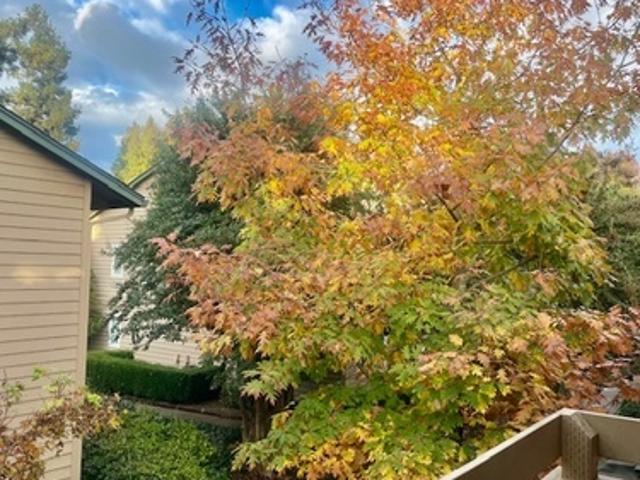2 BR, 2 BA Apartment 4121 Dale Rd, Unit 68, Modesto, CA 95356
