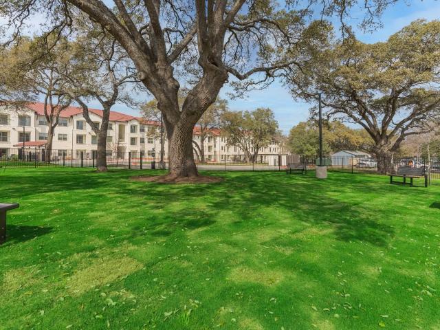 2 BR, 2 BA Apartment 414 E. Wonsley Dr Unit 1209, Austin, TX 78753
