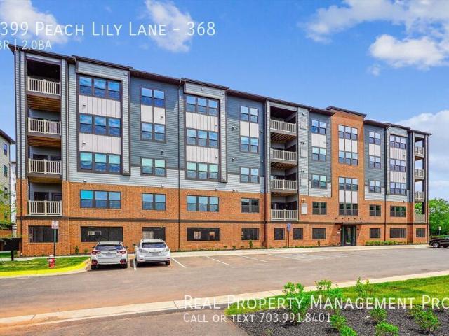 2 BR, 2 BA Apartment 4399 Peach Lily Lane, Chantilly, VA 20151