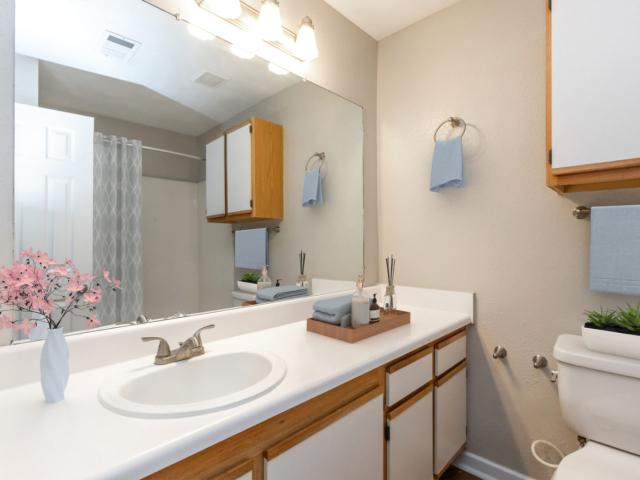 2 BR, 2 BA Apartment 51 Northtown Drive Unit 003H, Jackson, MS 39211