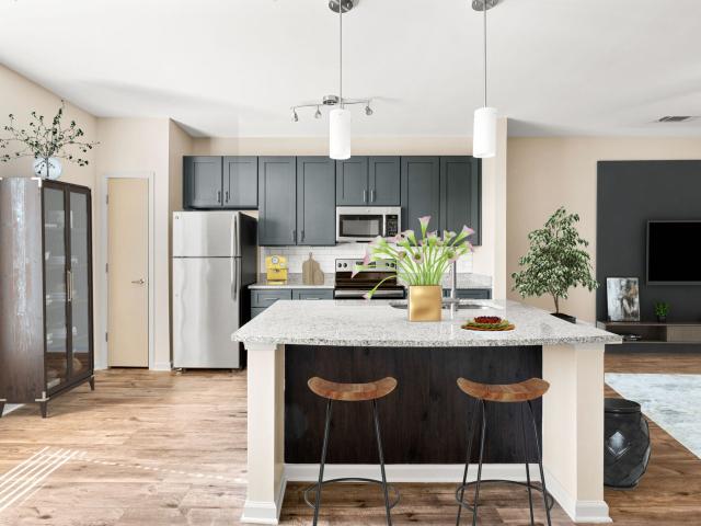 2 BR, 2 BA Apartment 520 Martin Luther King Jr Blvd Unit 225, Macon, GA 31201