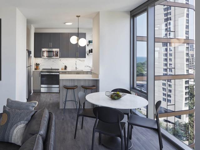 2 BR, 2 BA Apartment 5252 South Cornell Avenue Unit 1012, Chicago, IL 60615
