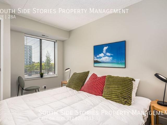 2 BR, 2 BA Apartment 606 E Woodland Park, Chicago, IL 60616