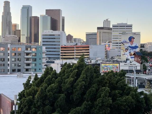 2 BR, 2 BA in Downtown Los Angeles