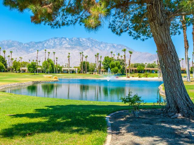 3 BR, 2 BA in Desert Princess