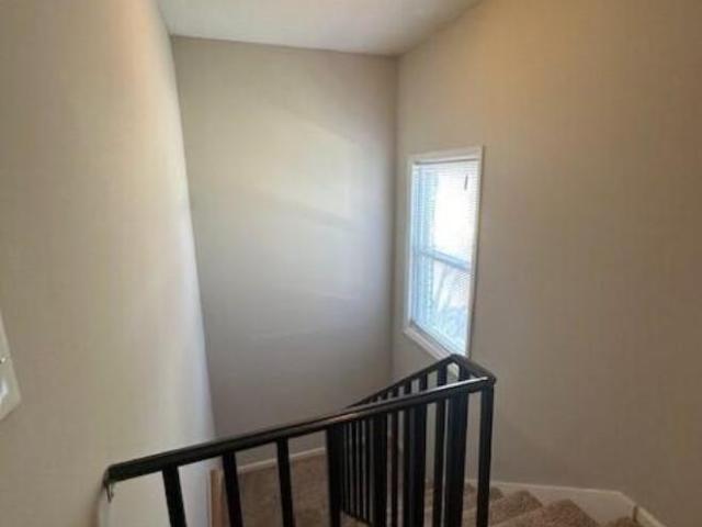 2 Br, 3 bath, Apartment 422 Connell Rd