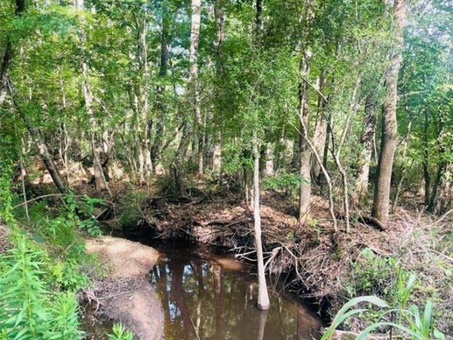 2 Bracewell Cemetery Rd, Livingston, TX 77351 | MLS #7921 | Compass