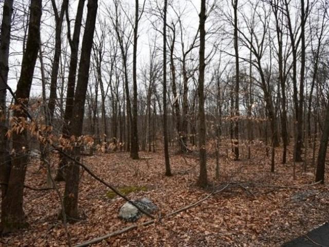 2 Brook Dr, Blairstown, NJ 07825
