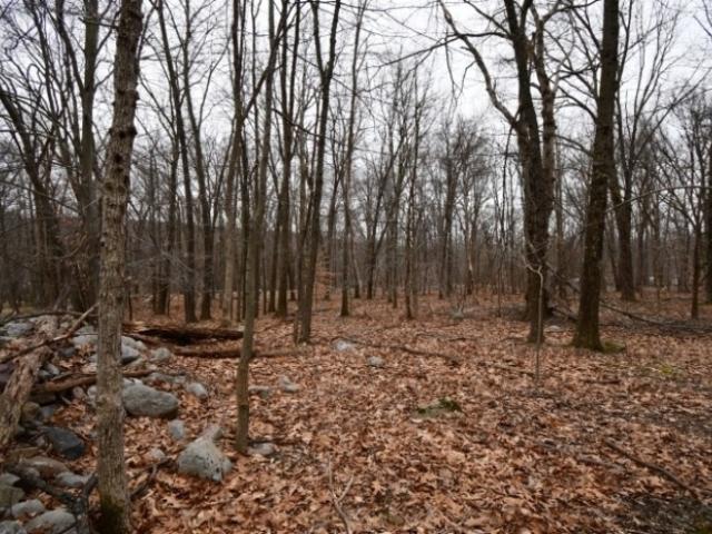 2 Brook Dr, Blairstown, NJ 07825 | MLS #4010