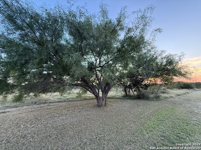 2 Cardinal Drive