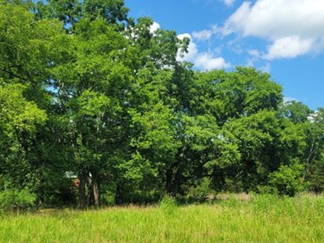 2 Clem Creek Rd, Chapel Hill, TN 37034